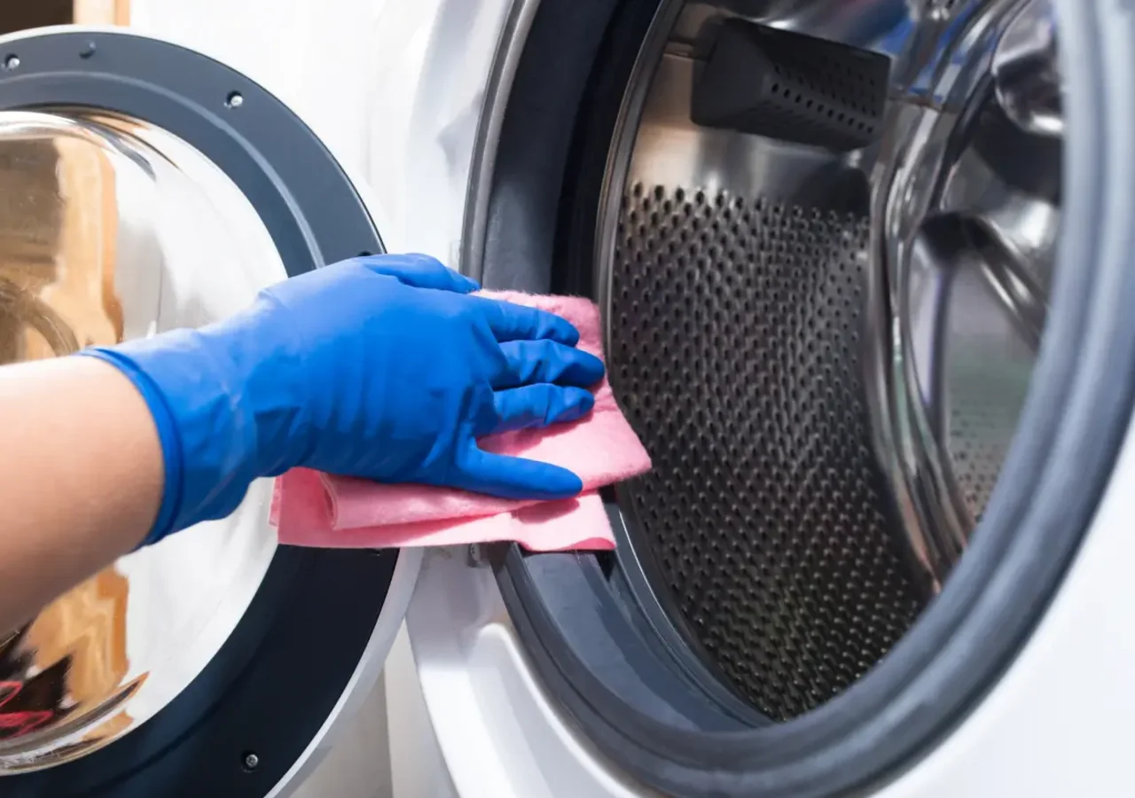 Washing machine cleaner